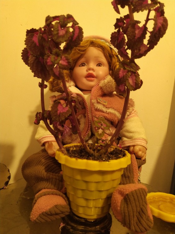 آخرین خبر | عکاسی من