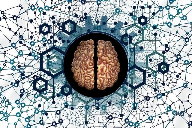 آخرین خبر تاثیر سن نیمکره چپ و راست مغز بر بیماری آلزایمر