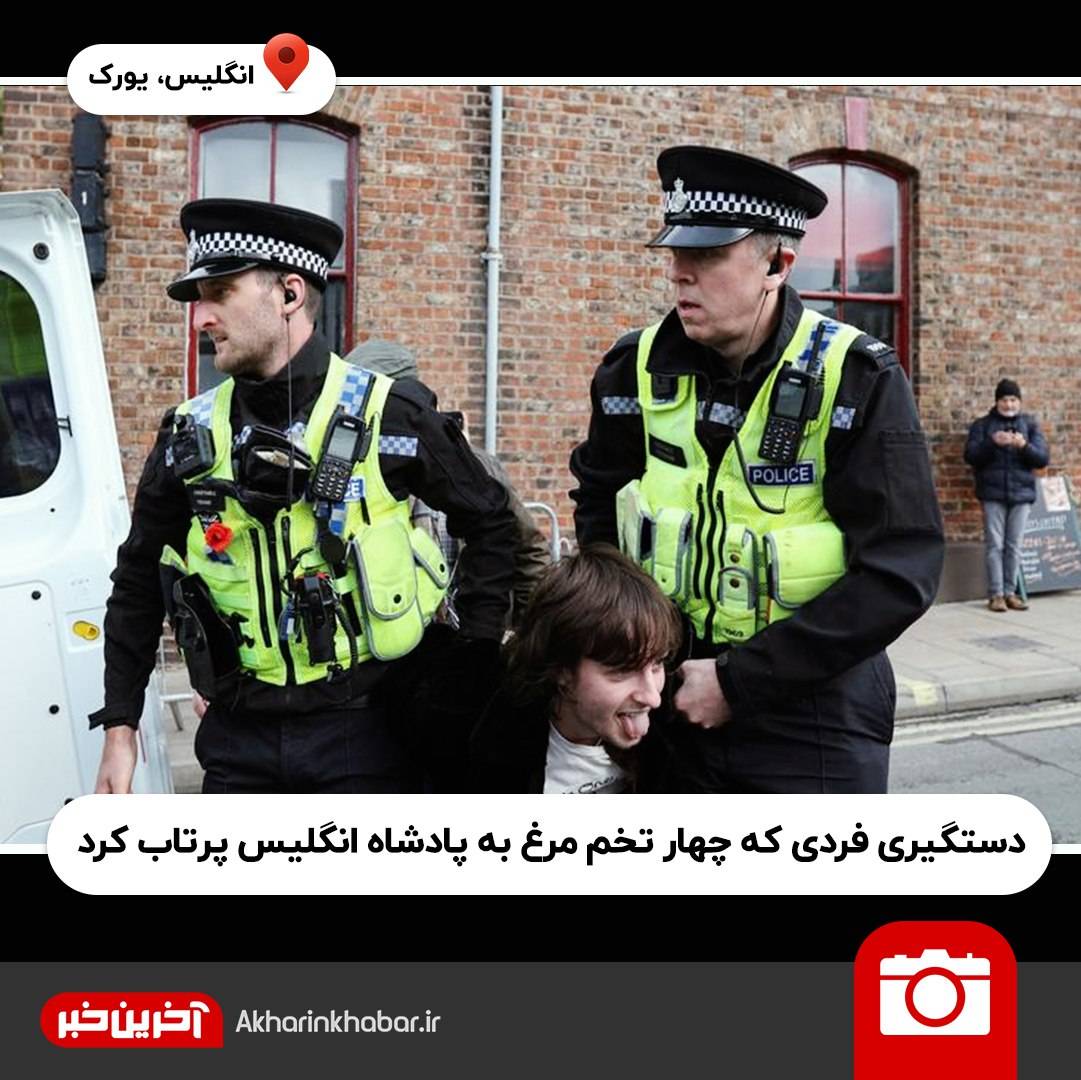 آخرین خبر تصاویر منتخب هفته از نگاه آخرین خبر