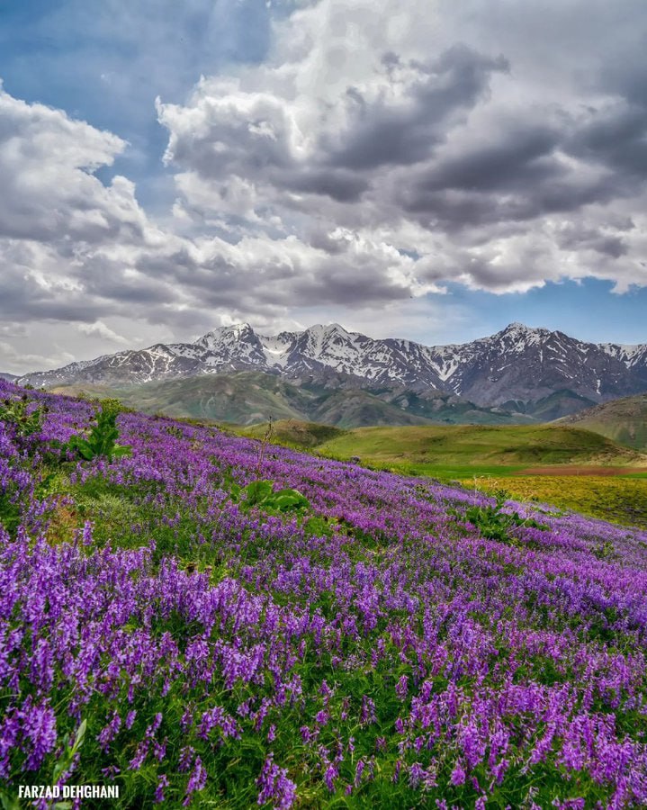 آخرین خبر تصویری بسیار زیبا از چشم کویر مرکزی ایران
