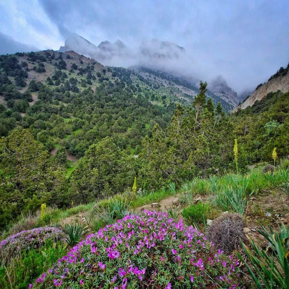 آخرین خبر ارتفاعات زیبای هزار مسجد در خراسان رضوی